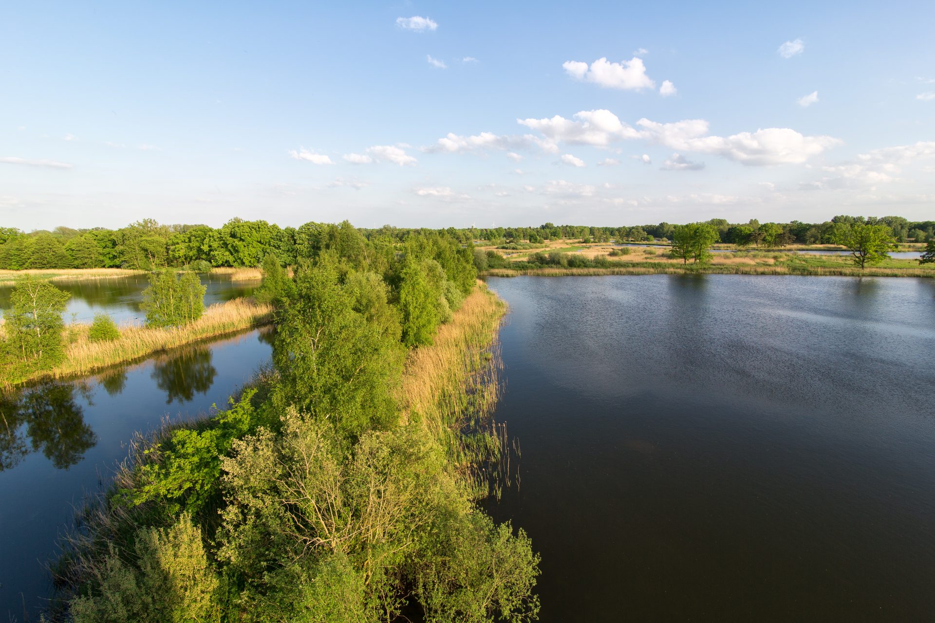 Water platform De Wijers - NIWE Project